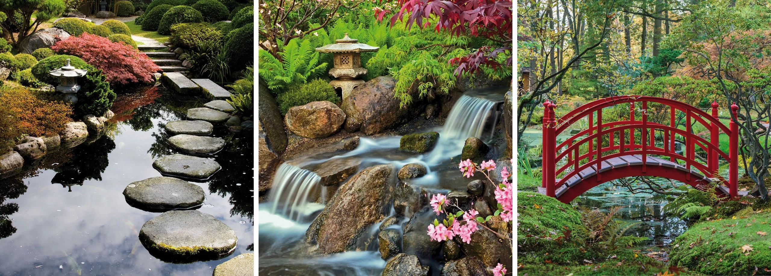 Zo creëer je een Japanse tuin waar je helemaal zen van wordt - Tuincentrum Pelckmans