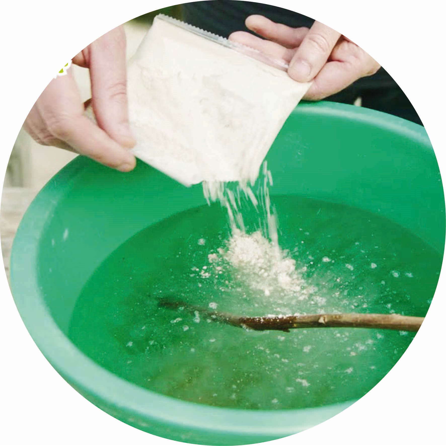 Aaltjes: wat doen ze & hoe gebruik je ze? - Tuincentrum Pelckmans