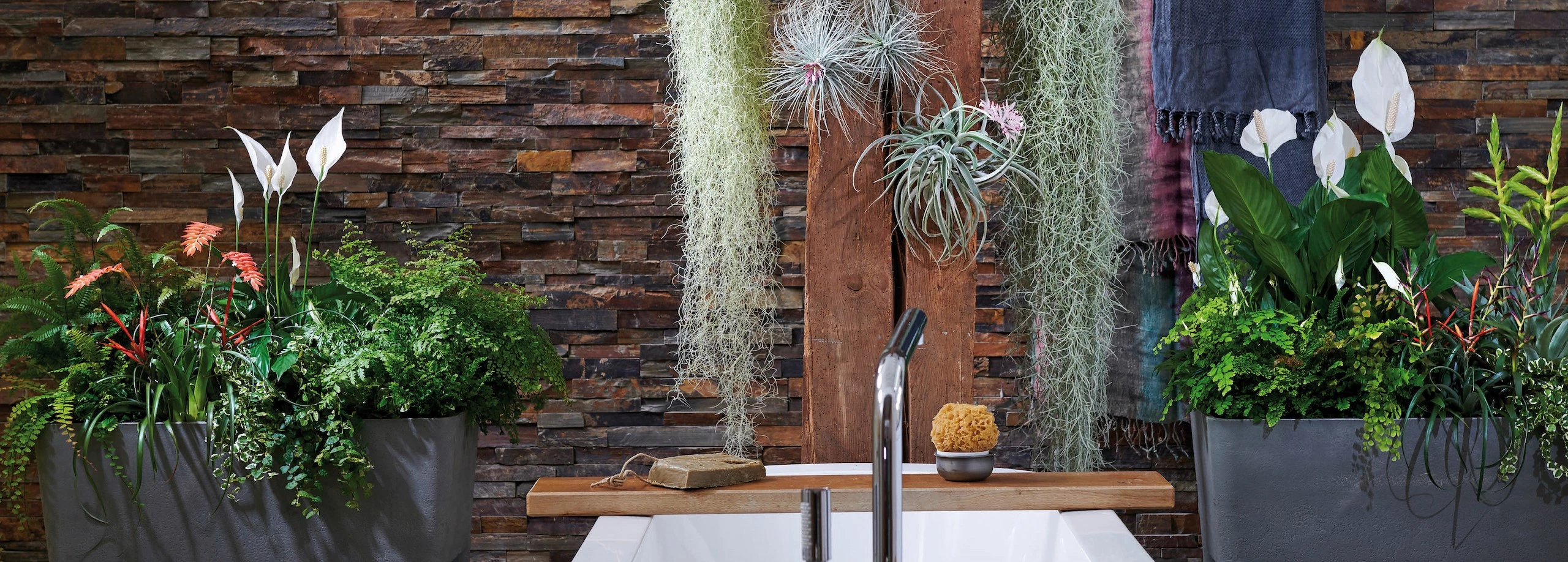 Maak van je badkamer een oase met deze planten - Tuincentrum Pelckmans