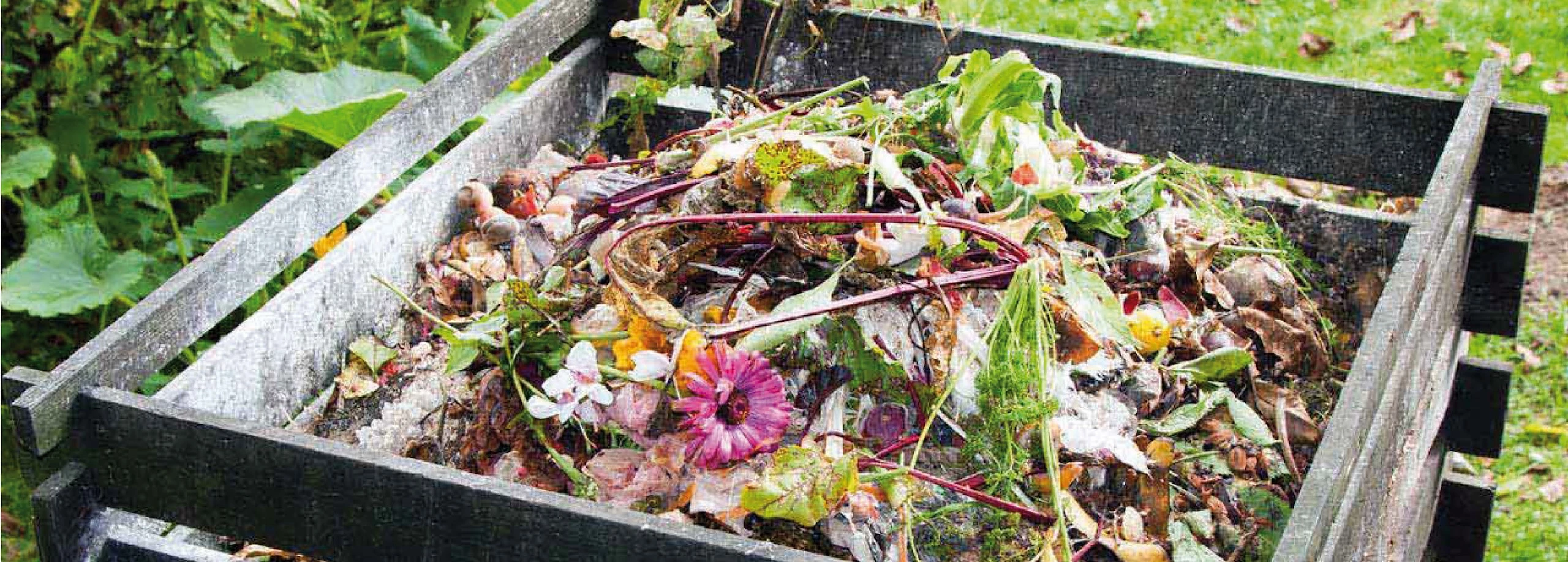 Hoe maak ik mijn eigen composthoop? - Tuincentrum Pelckmans