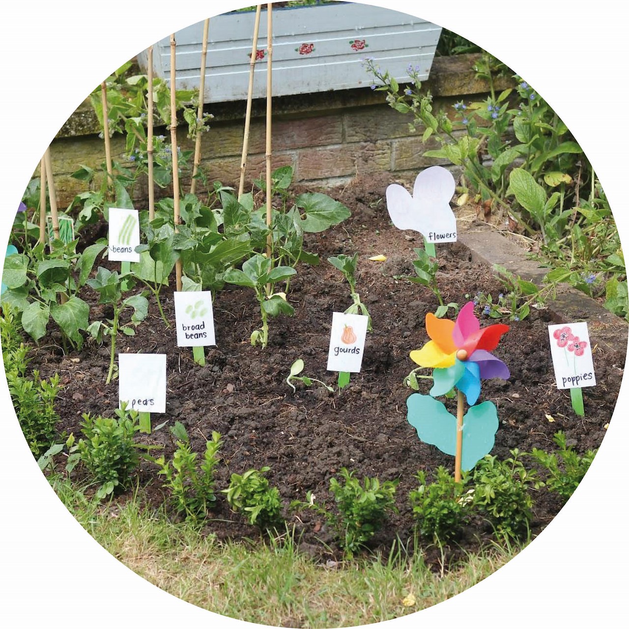 10 tips om te (moes)tuinieren met kids - Tuincentrum Pelckmans