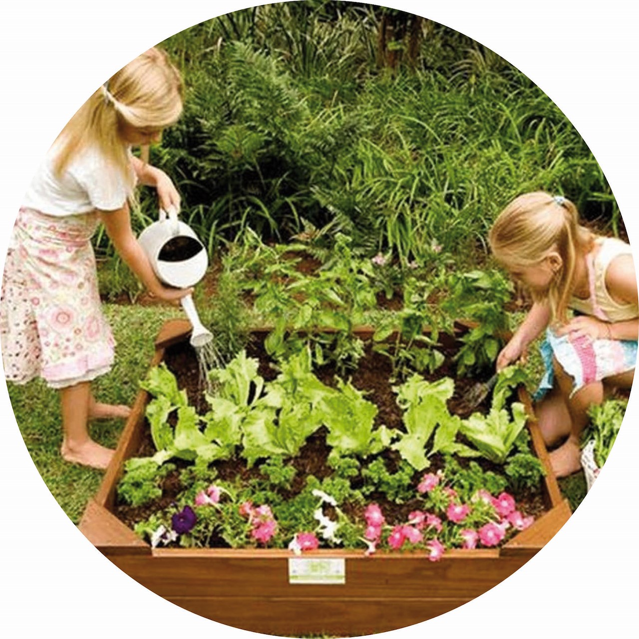 10 tips om te (moes)tuinieren met kids - Tuincentrum Pelckmans