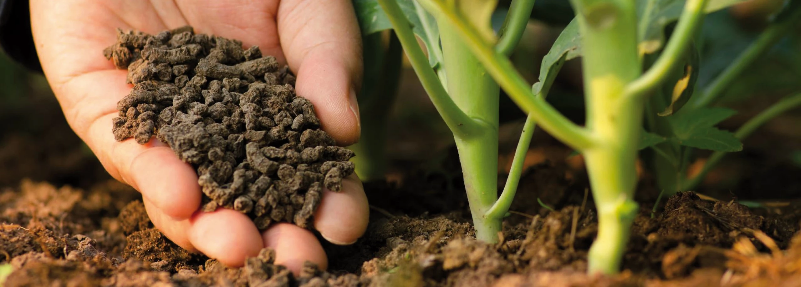 Welke soorten mest zijn er? - Tuincentrum Pelckmans