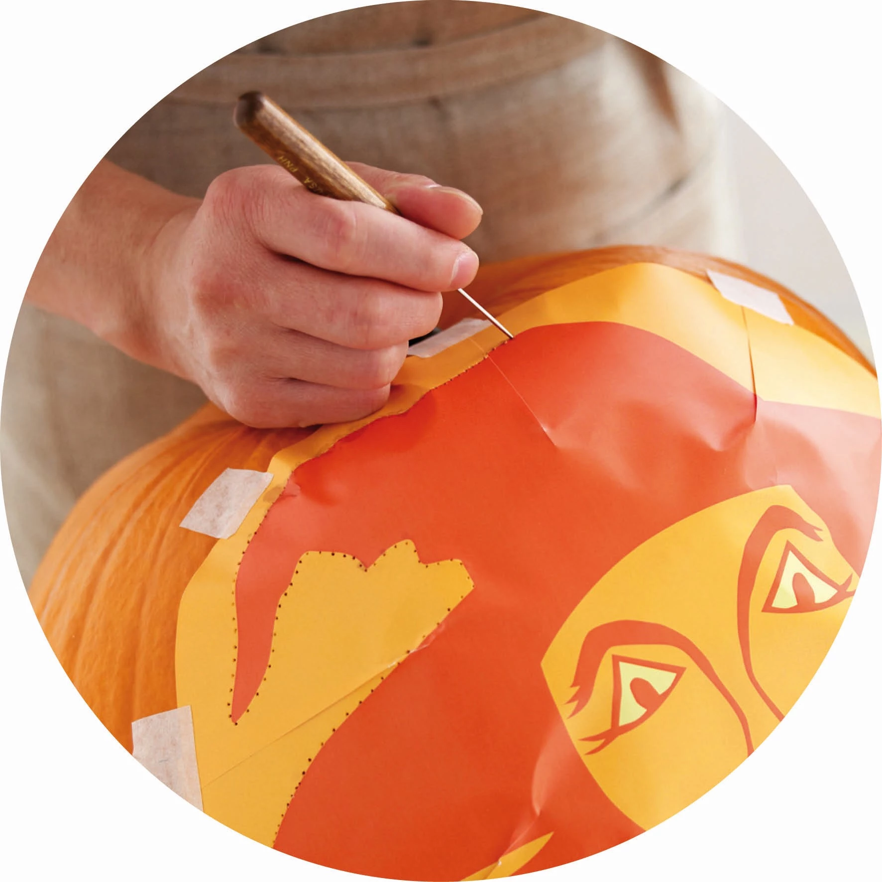 Een Halloween pompoen maken doe je zo - Tuincentrum Pelckmans