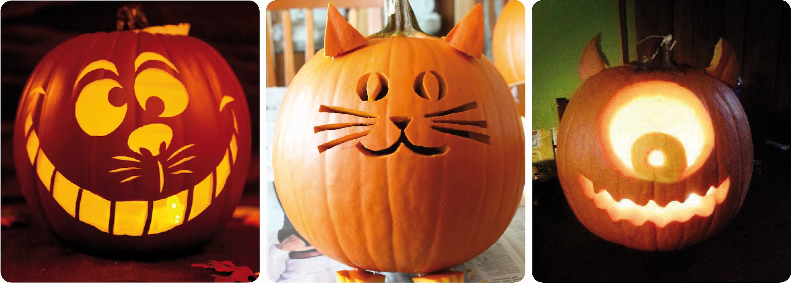 Een Halloween pompoen maken doe je zo - Tuincentrum Pelckmans