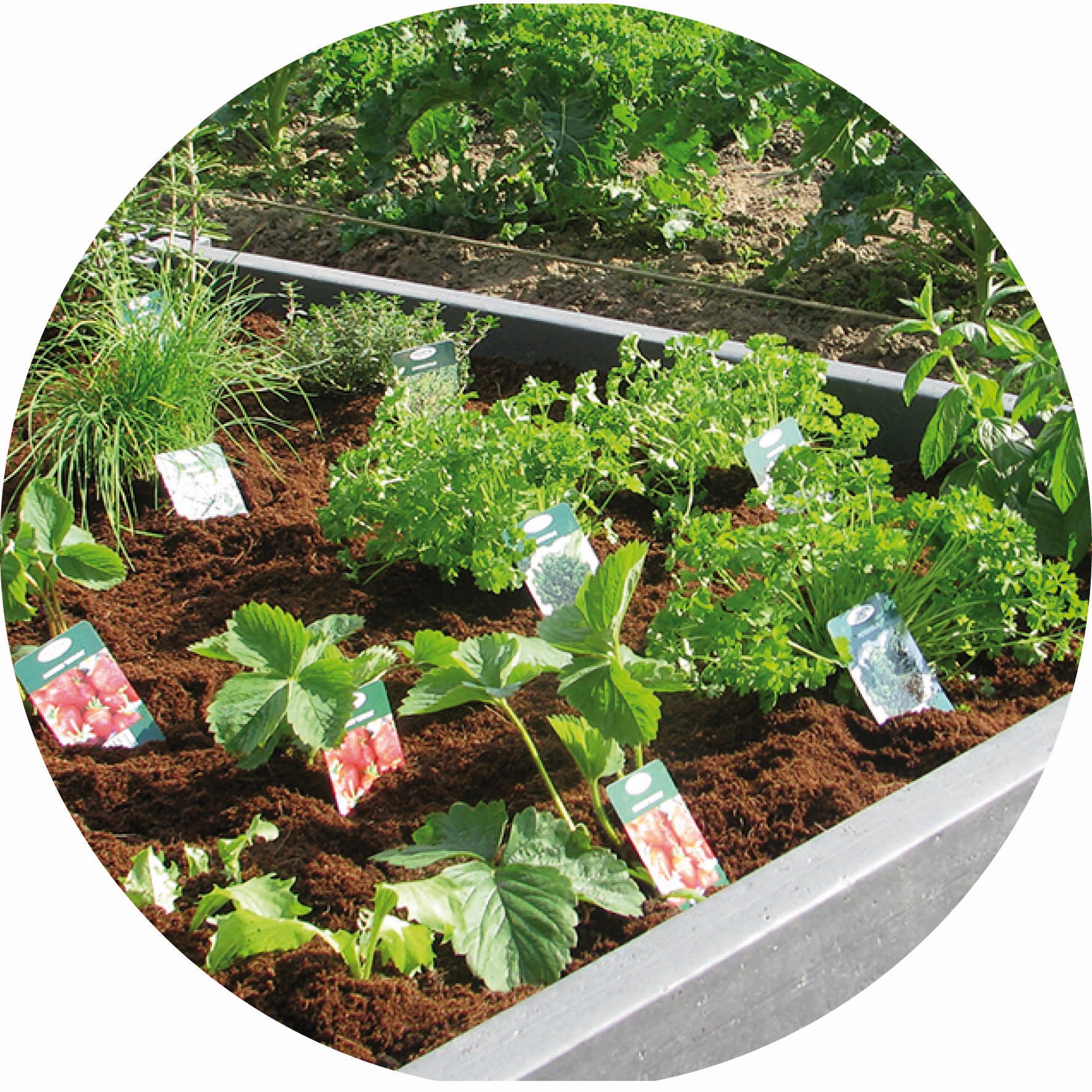 Potgrond: welke kiezen? - Tuincentrum Pelckmans