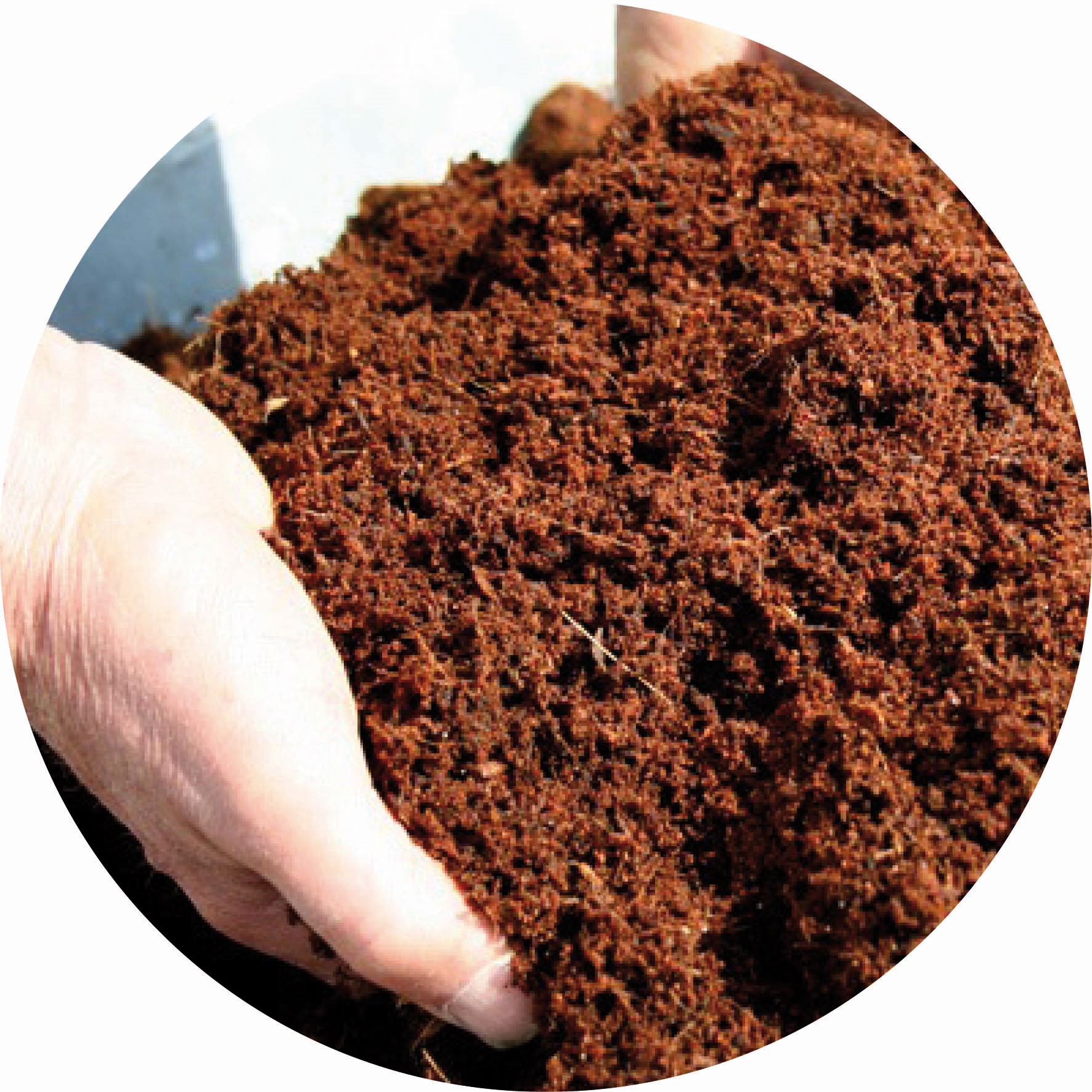 Potgrond: welke kiezen? - Tuincentrum Pelckmans