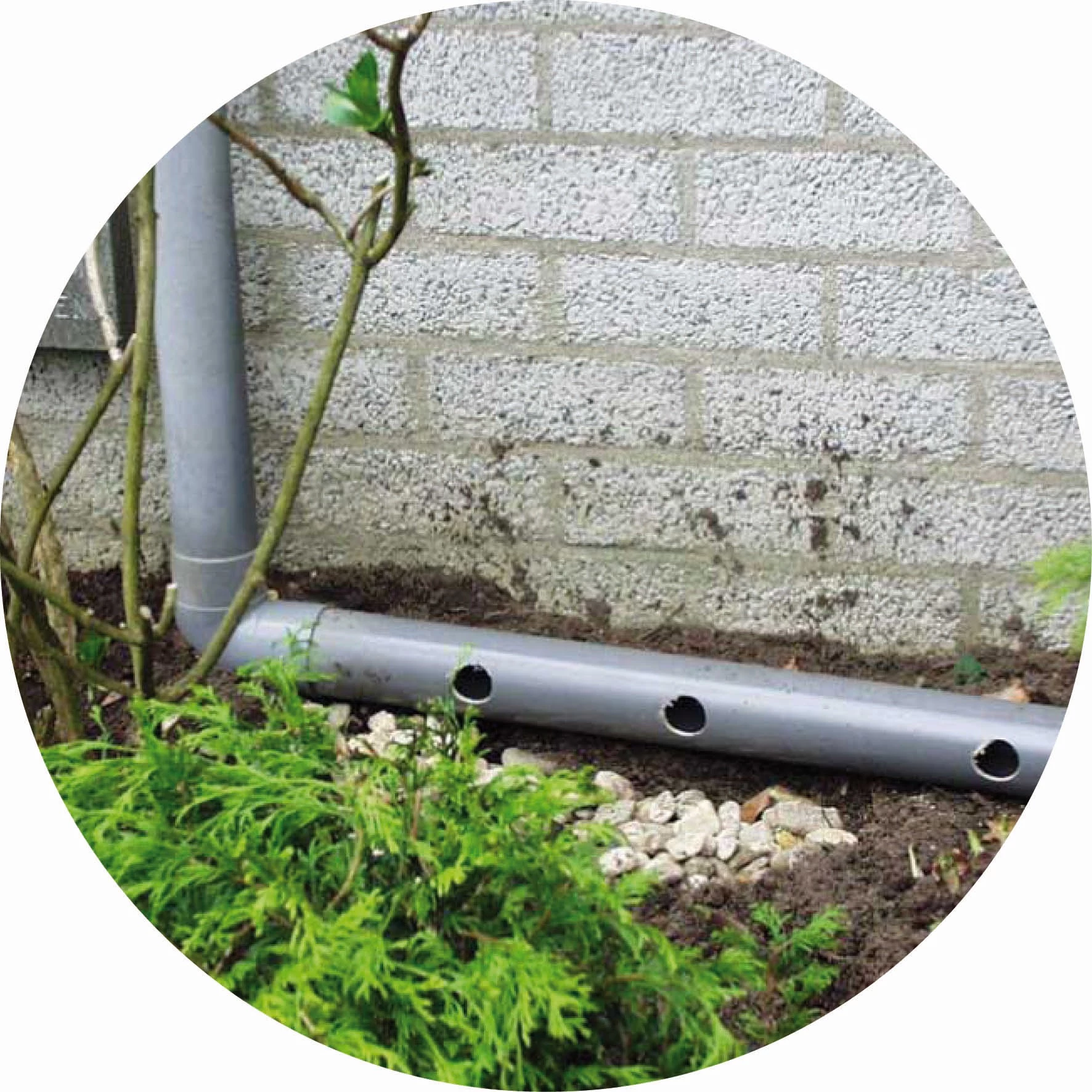 Zo kan je regenwater opvangen & gebruiken in je tuin - Tuincentrum ...