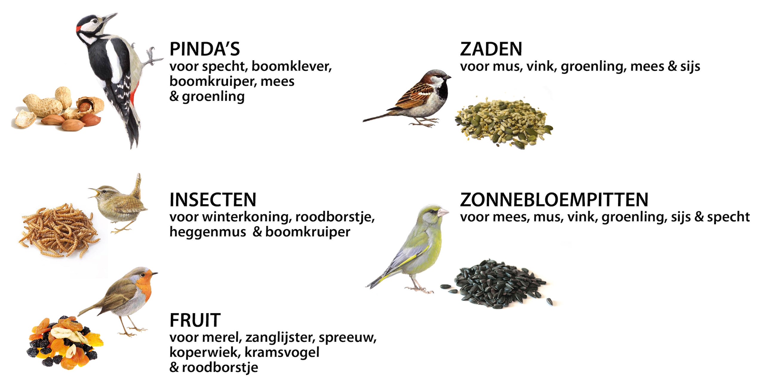 Help de vogeltjes de winter door! Wie eet wat? - Tuincentrum Pelckmans