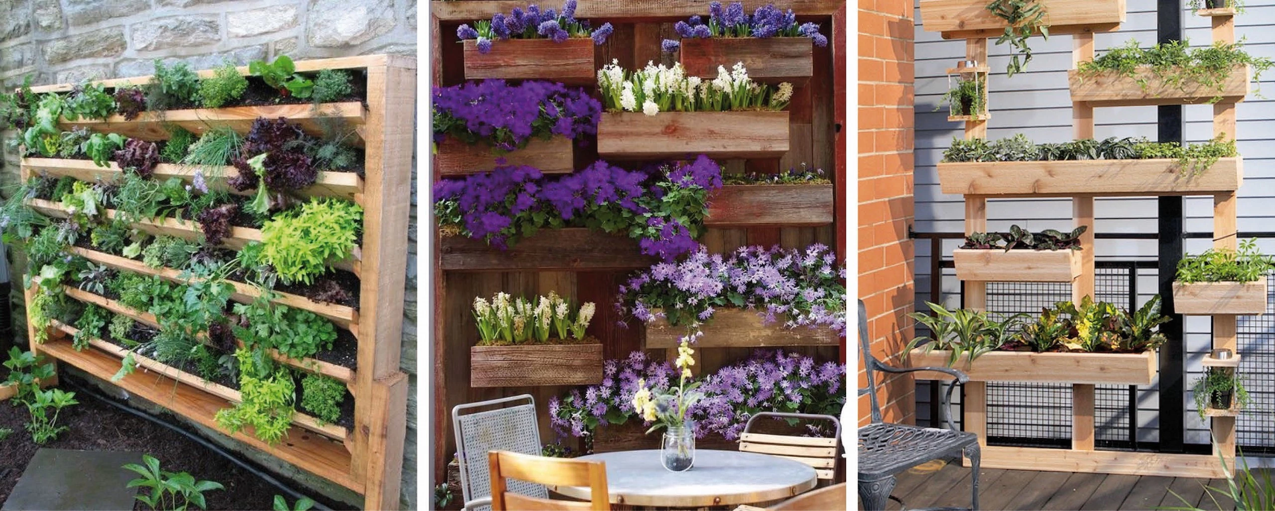 DIY: je eigen verticale tuintje - Tuincentrum Pelckmans