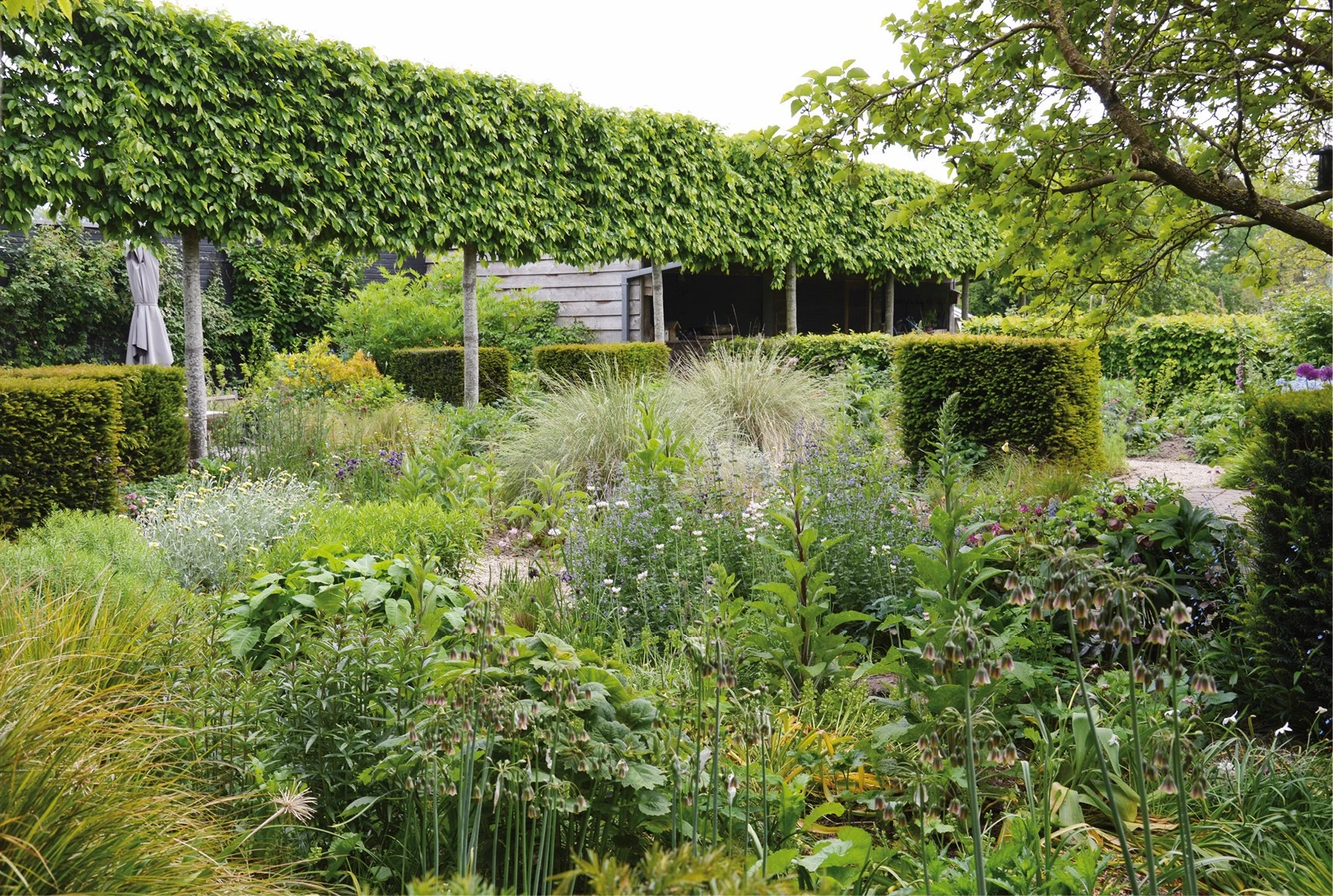 Maak van je tuin een vogelparadijs - Tuincentrum Pelckmans